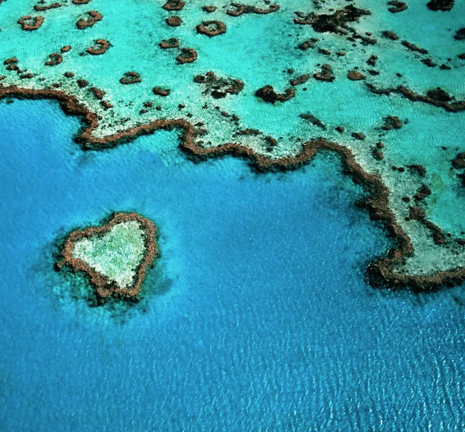 Great Barrier Reef Review: Unveiling the Reality Beyond the Hype | Dive ...