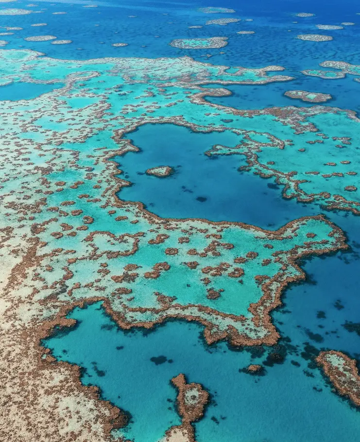 Great Barrier Reef Review: Unveiling the Reality Beyond the Hype | Dive ...